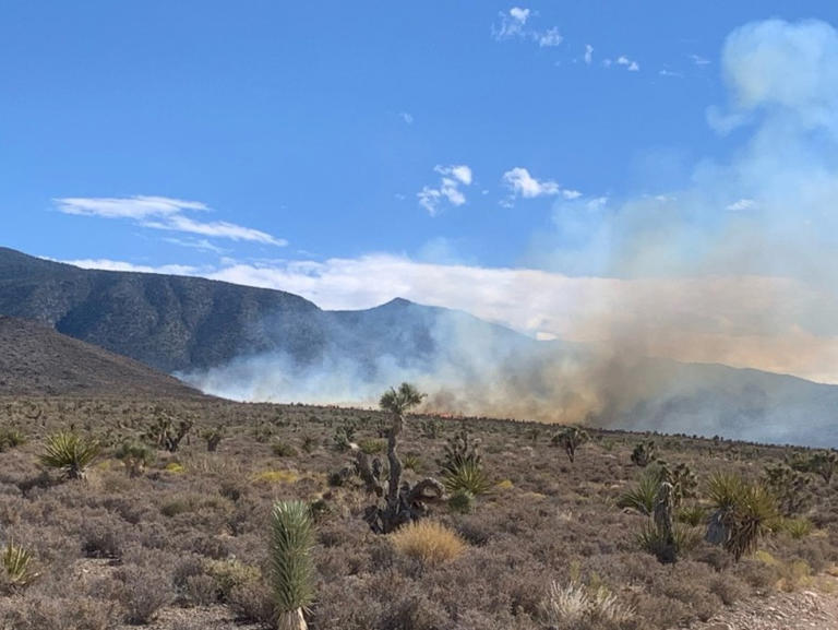 Fireworks violations subject to $5,000 fines, forest service warns Fireworks violations subject to $5,000 fines, forest service warns