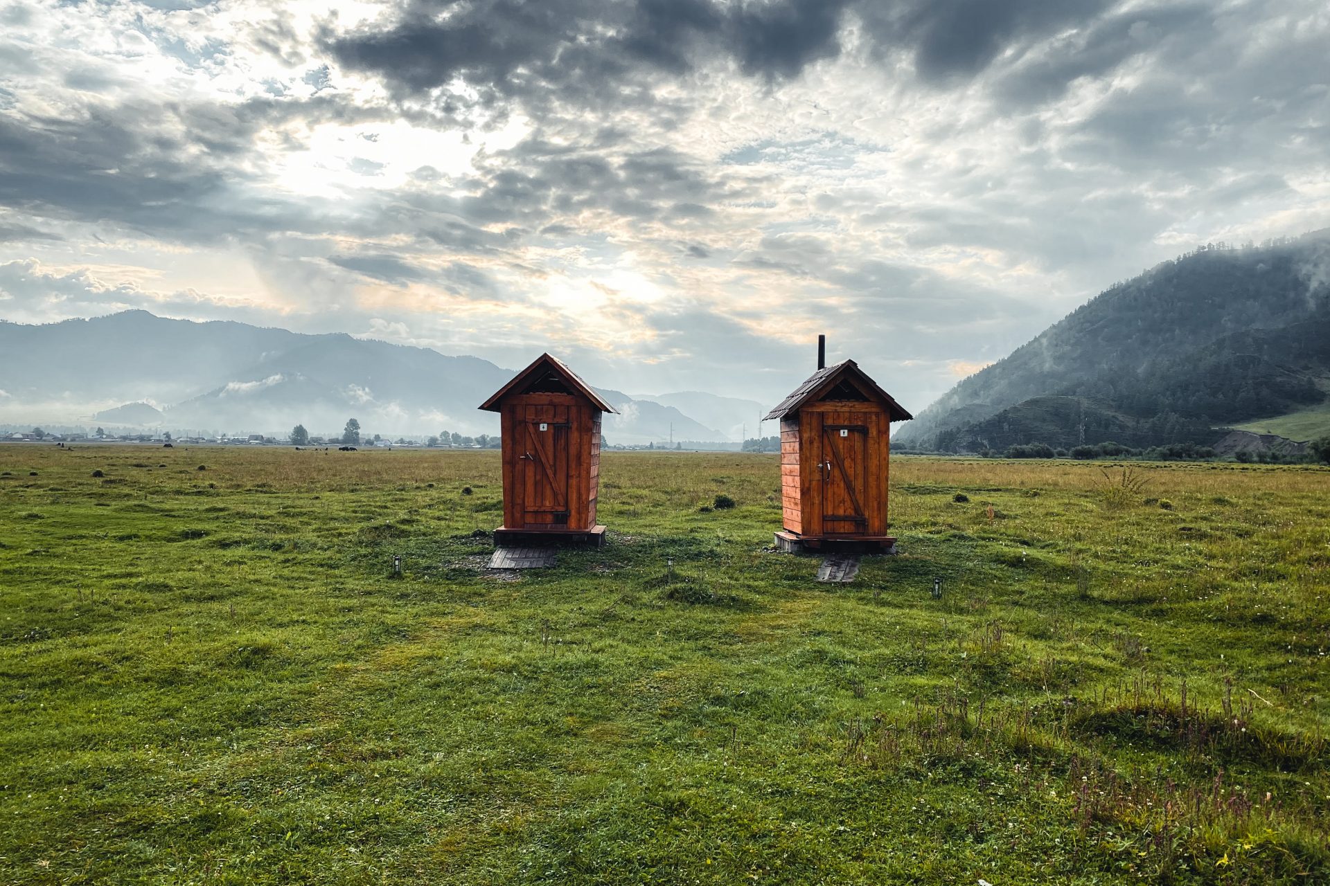 How often should you be going number two?