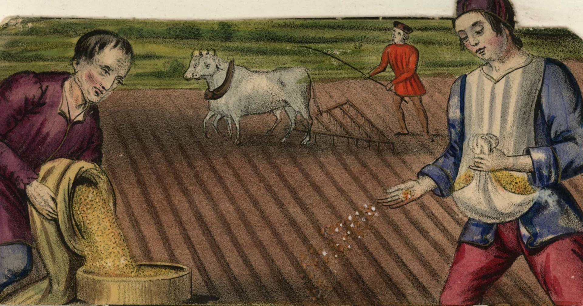 What was the average diet like in medieval Europe?