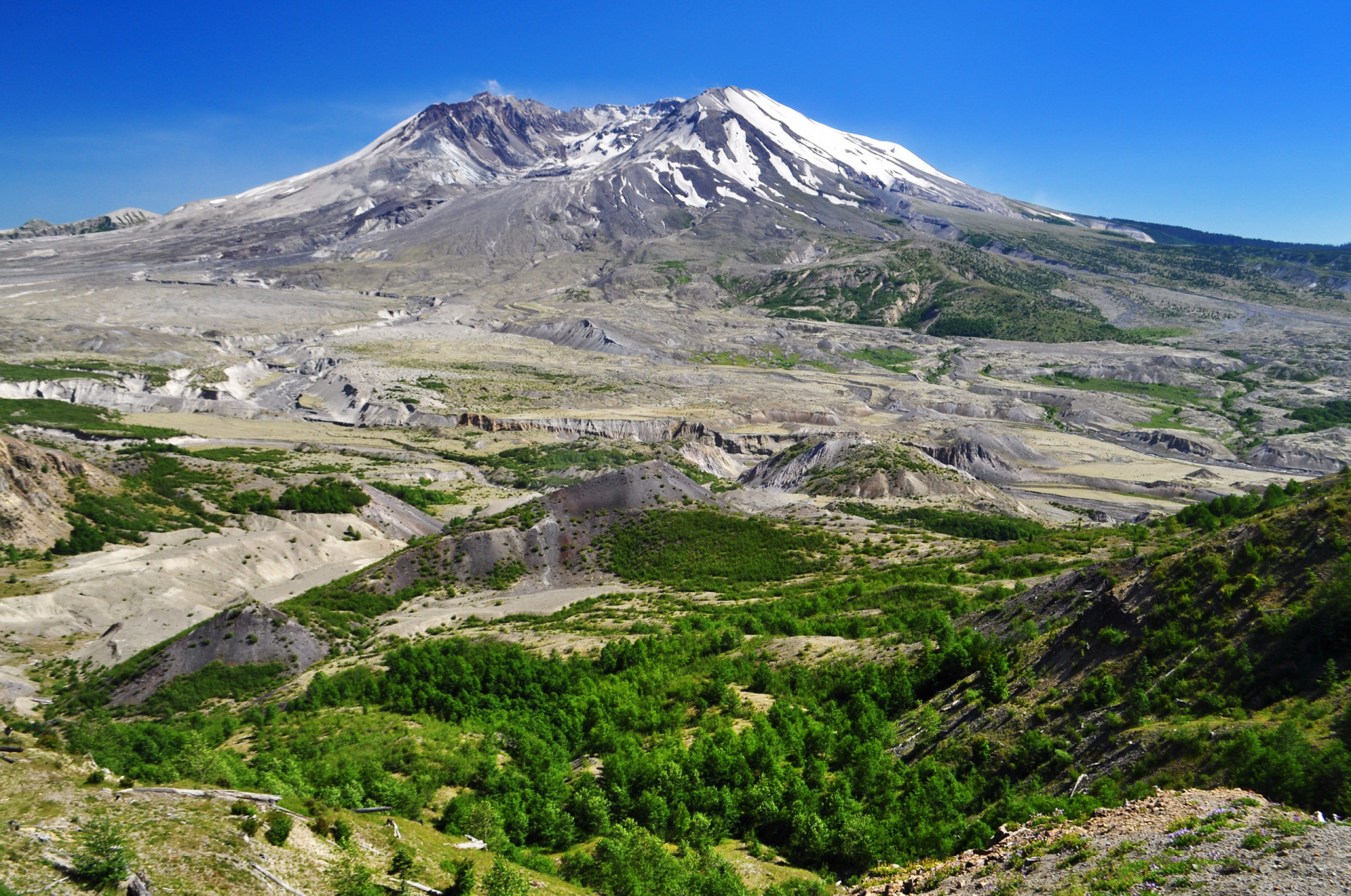Anak Gajah Bernama Diah Lahir di Batu Secret Zoo