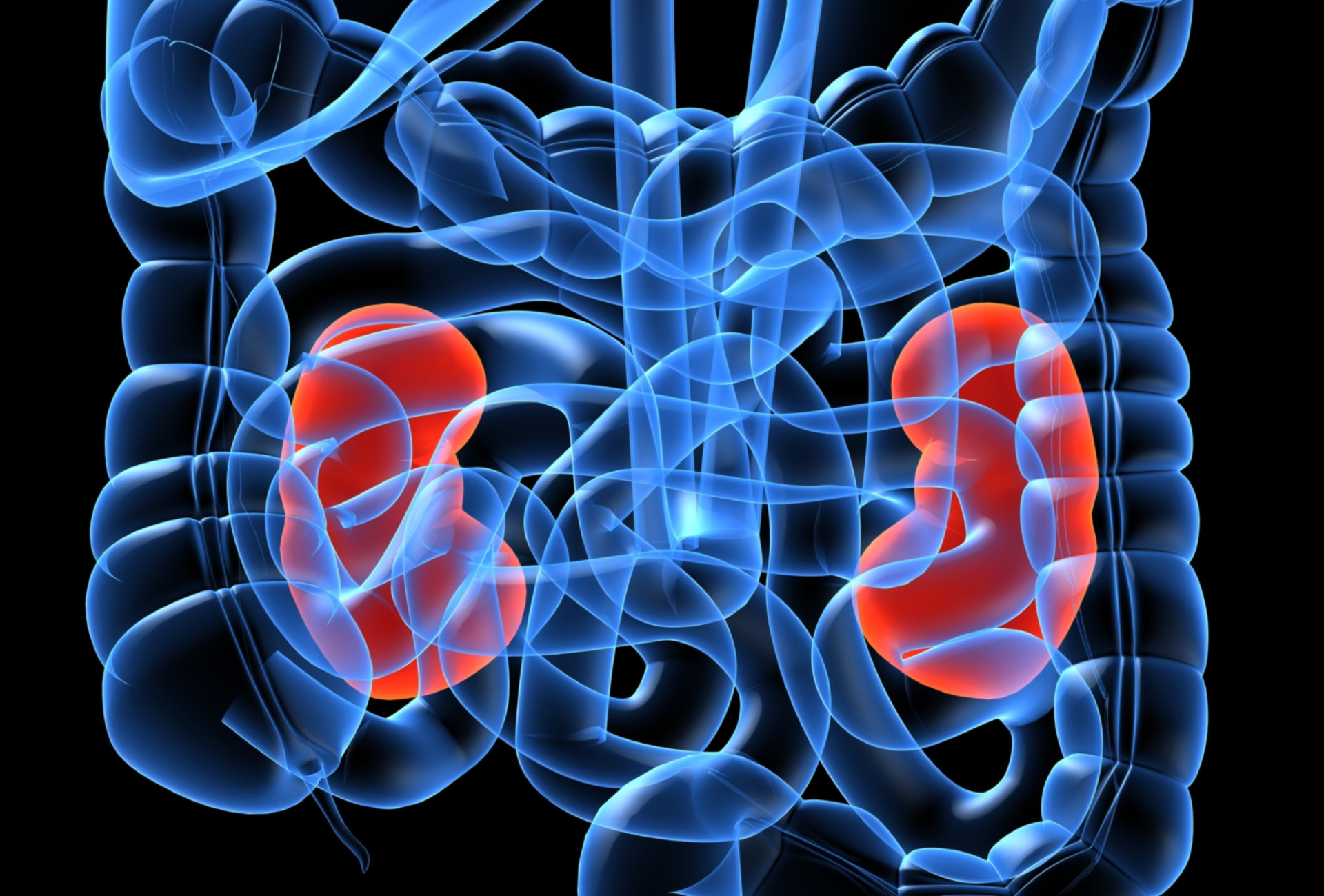 Are you taking care of your kidneys?
