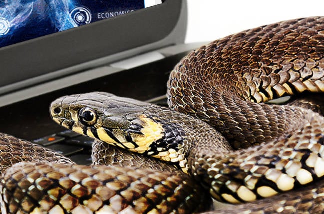 Snake Keylogger slithers into Windows, evades detection with AutoIt ...