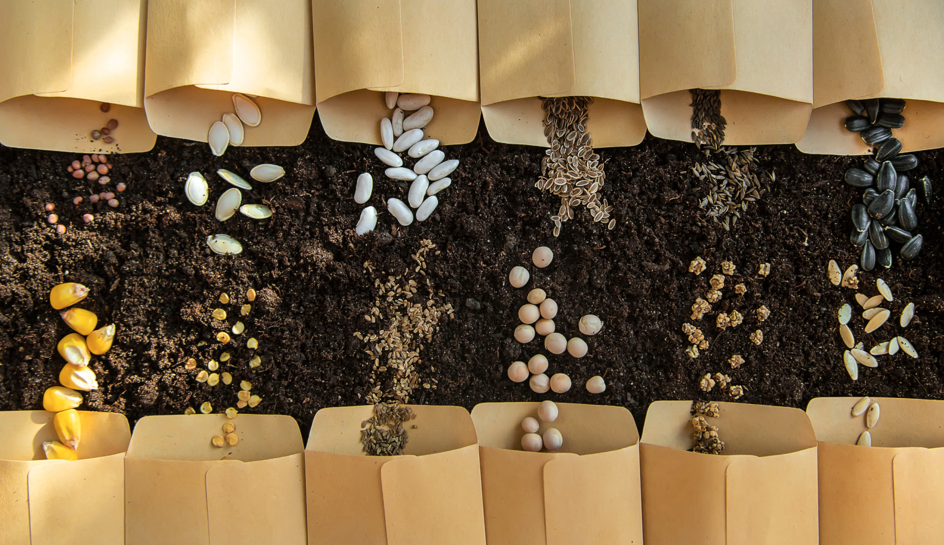 Die Schönheit der Unordnung: So funktioniert es im Garten!