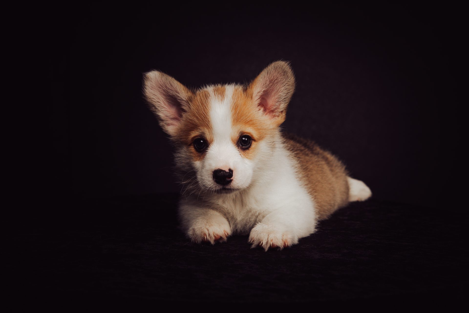 The 20 Oldest Surviving Documents Throughout History