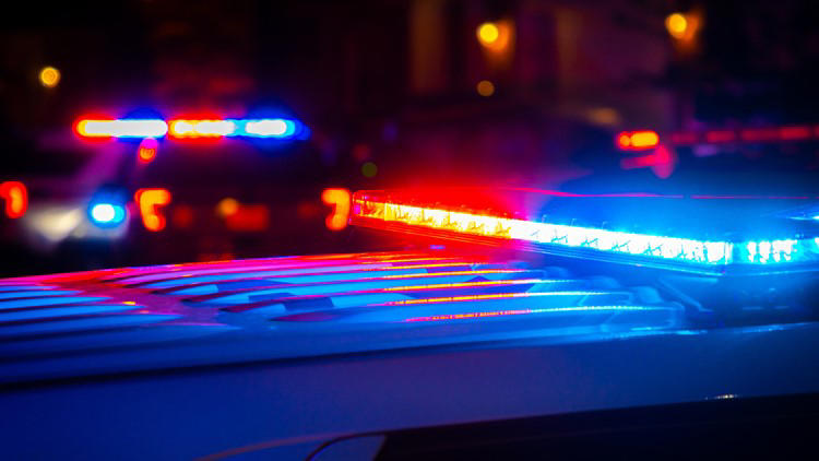 Man arrested after pointing crossbow at woman walking dog near ...