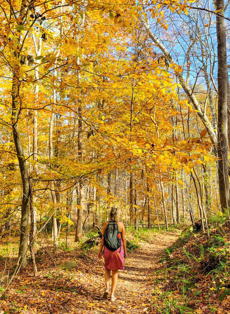 Where To See Fall Colors In Raleigh & The Triangle Region