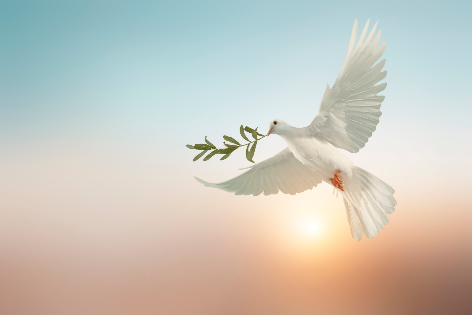 30 different symbols of kindness and compassion