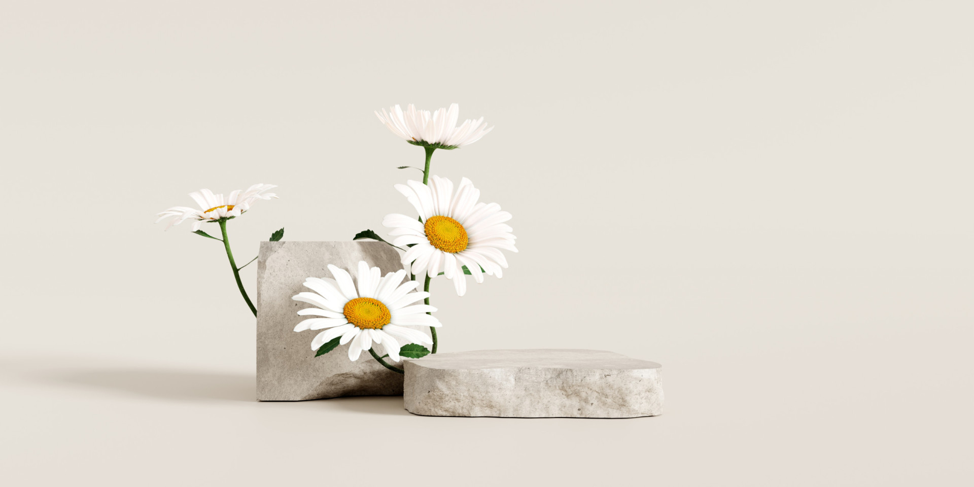 30 different symbols of kindness and compassion