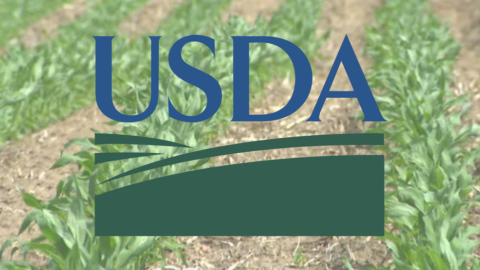 Iowa native appointed to rural development leadership for USDA
