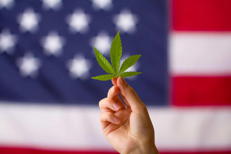 Marijuana rescheduling process remains stalled, DEA says