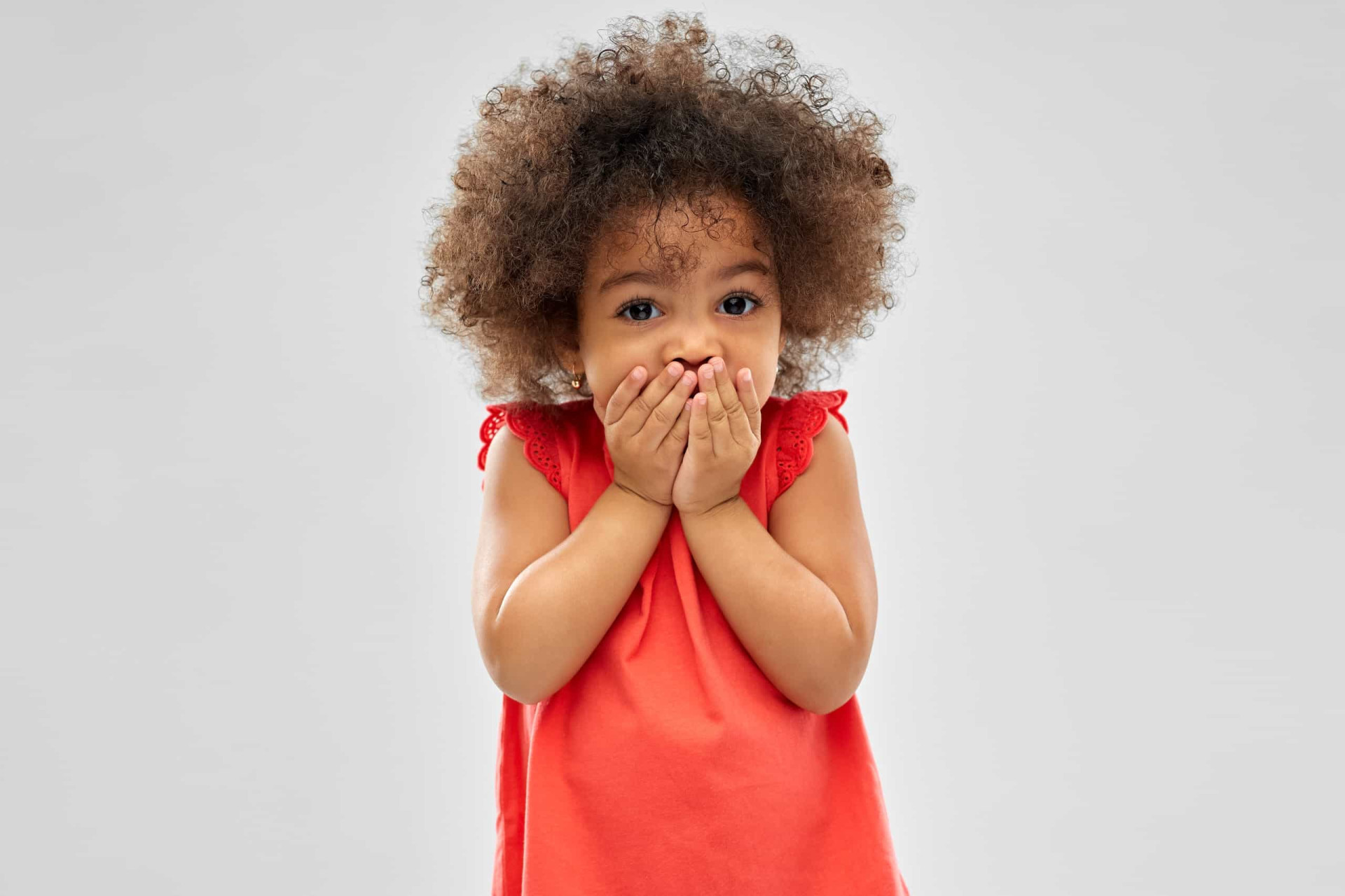 How sea otters can help fight climate change
