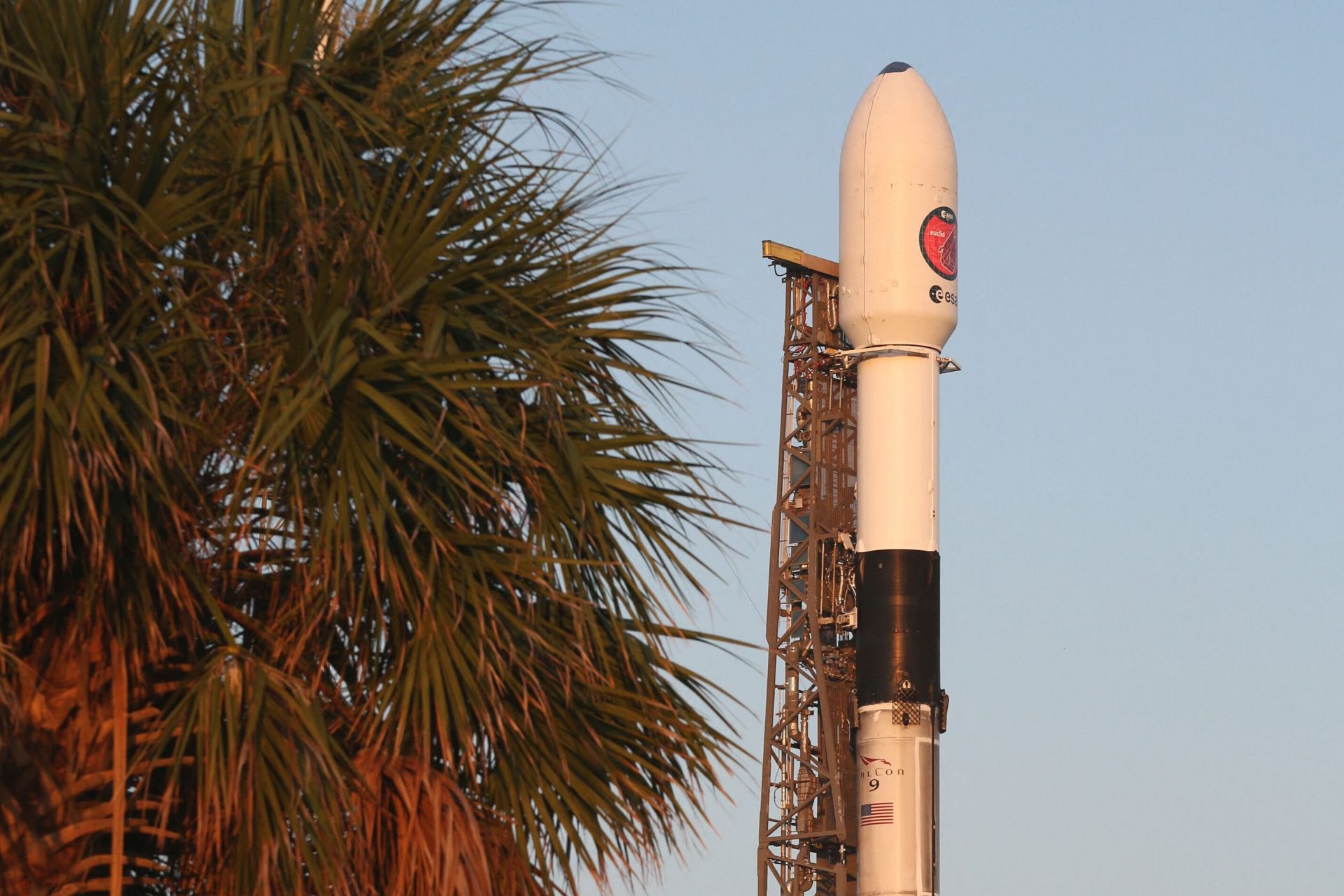 Reliving the first images taken by the amazing Euclid Space Telescope