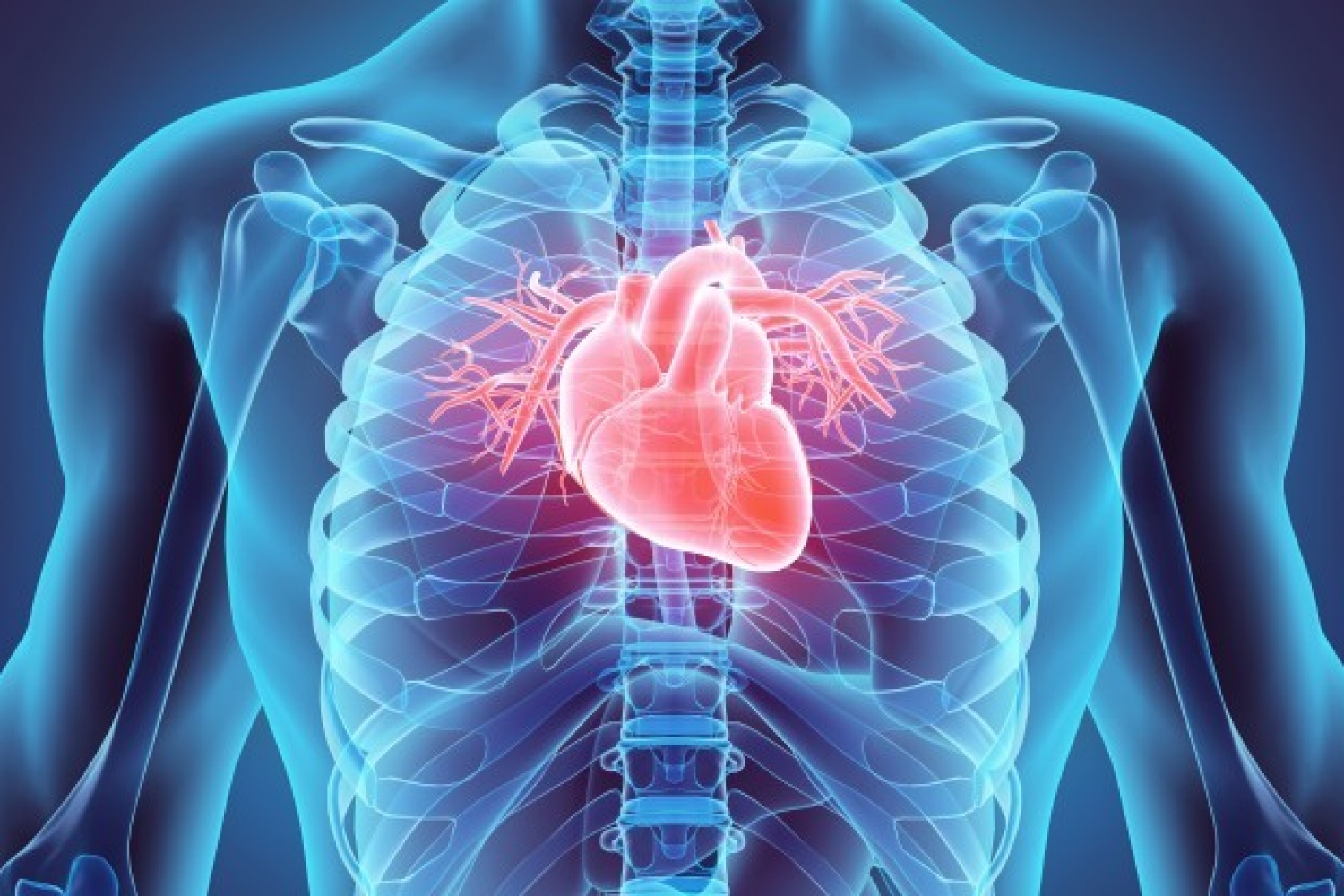 30 ricette ricche d'Omega 3 per mantenere il cuore in salute