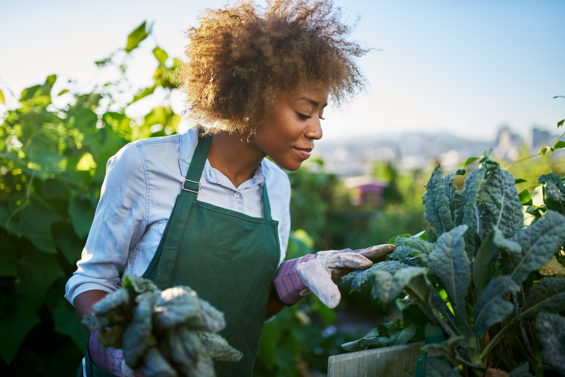 The beauty of chaos gardening, and how to go about it