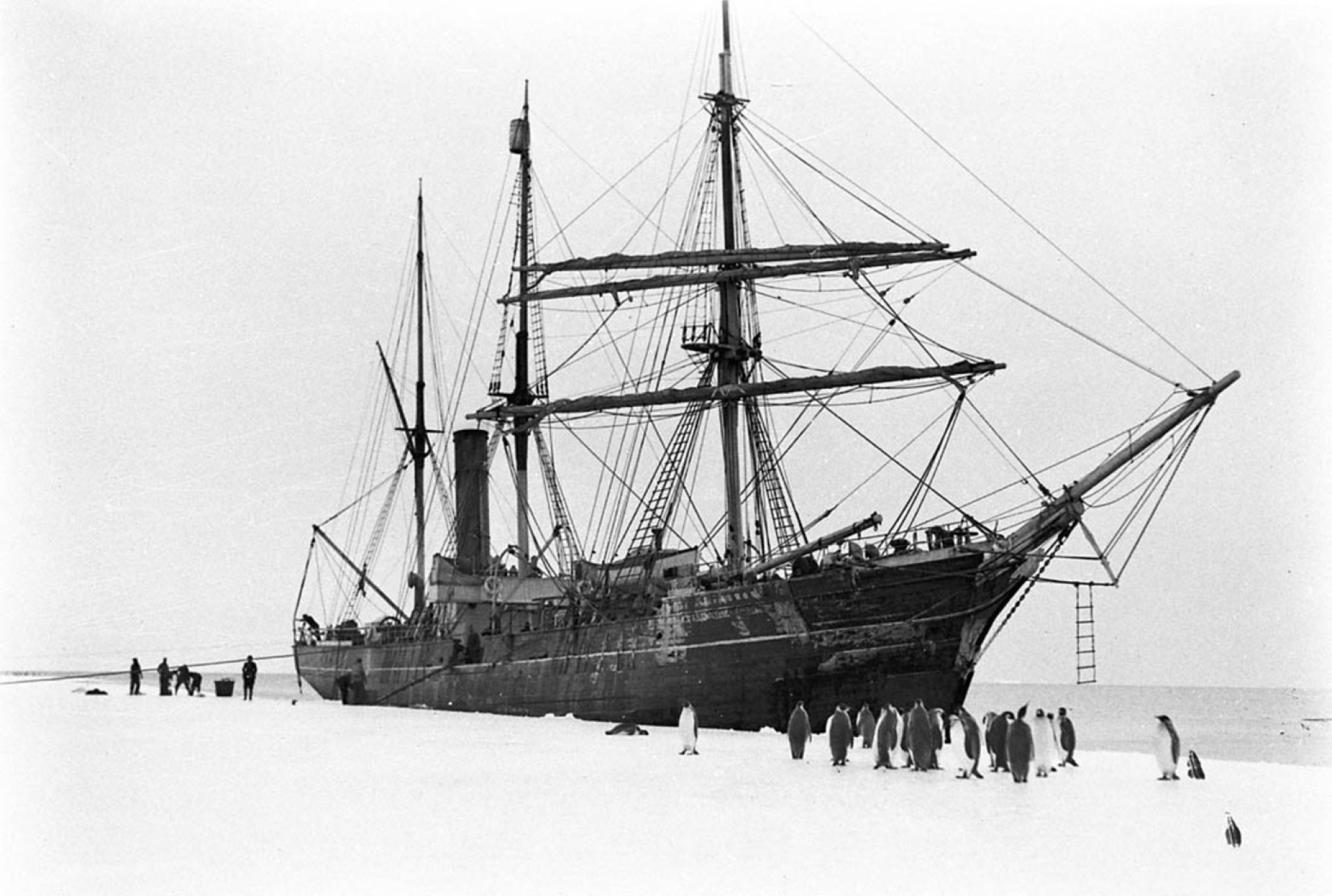 Famous castaways throughout history