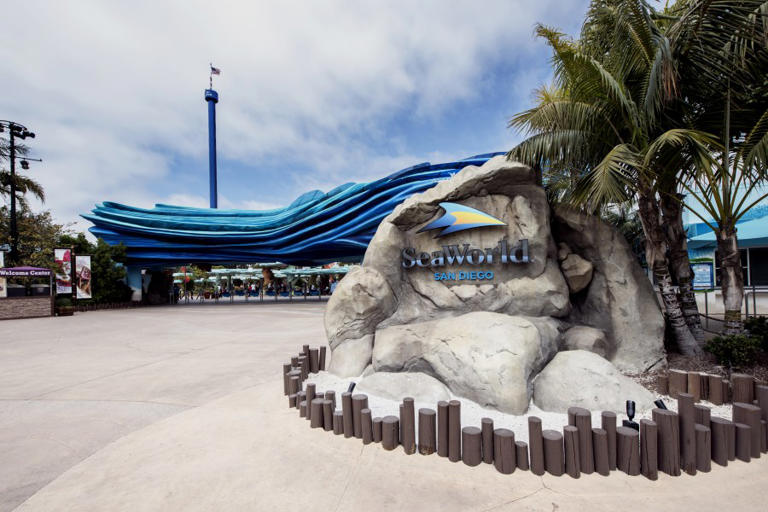 SeaWorld food festival brings global flavors to SoCal