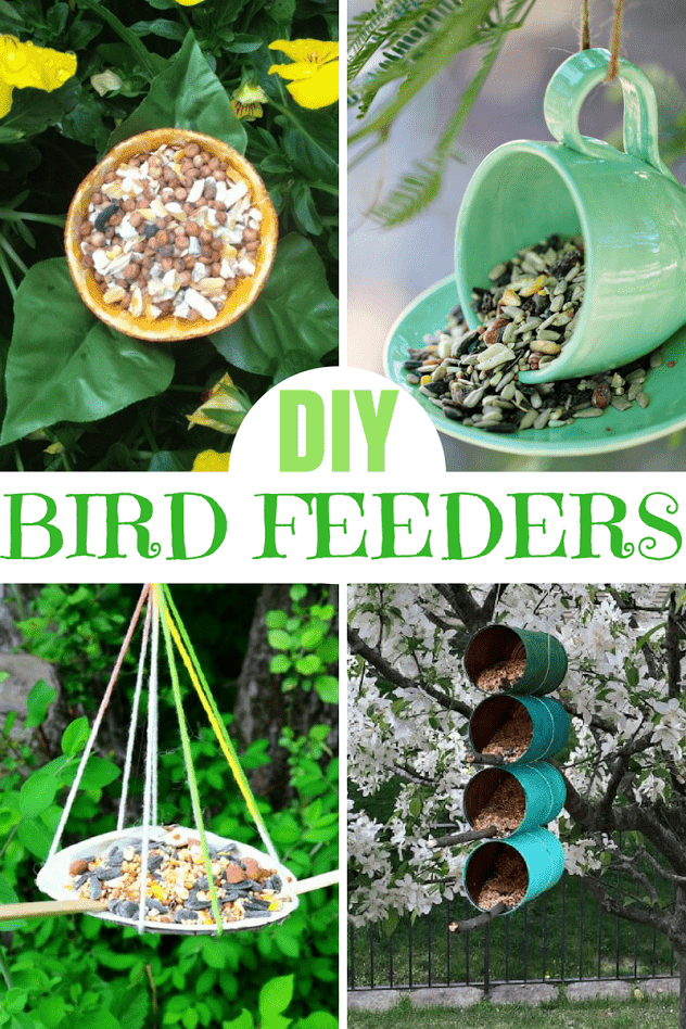 12 Easy DIY Bird Feeders