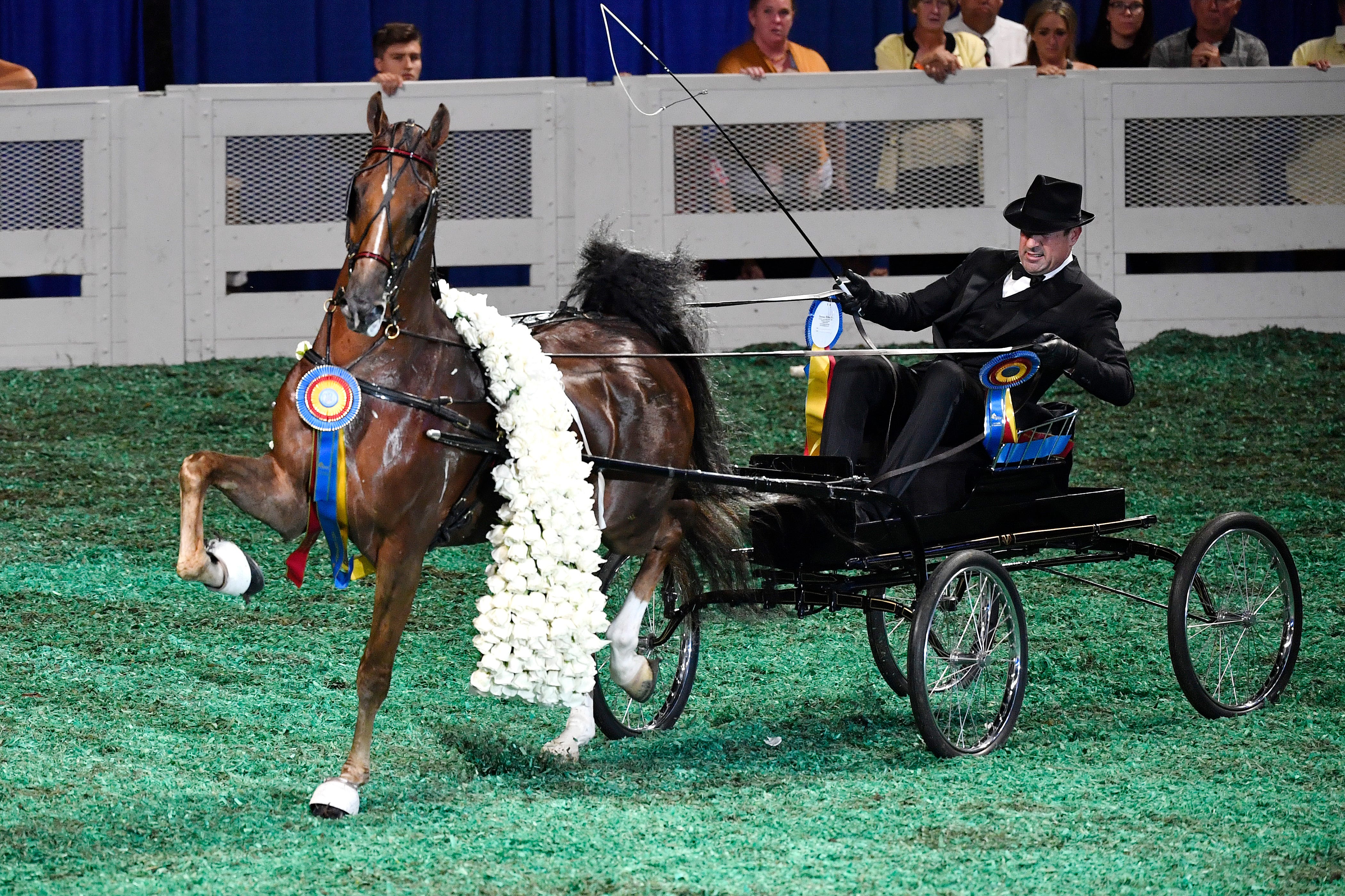 The World's Championship Horse Show at Kentucky State Fair brings top ...