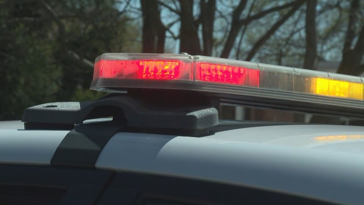North Carolina 2-year-old dies after being attacked by family dogs ...