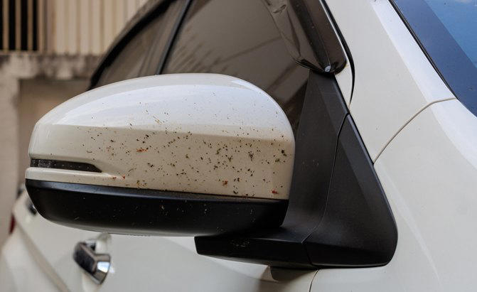 The Best Way to Get Dead Bugs Off Your Car's Paint
