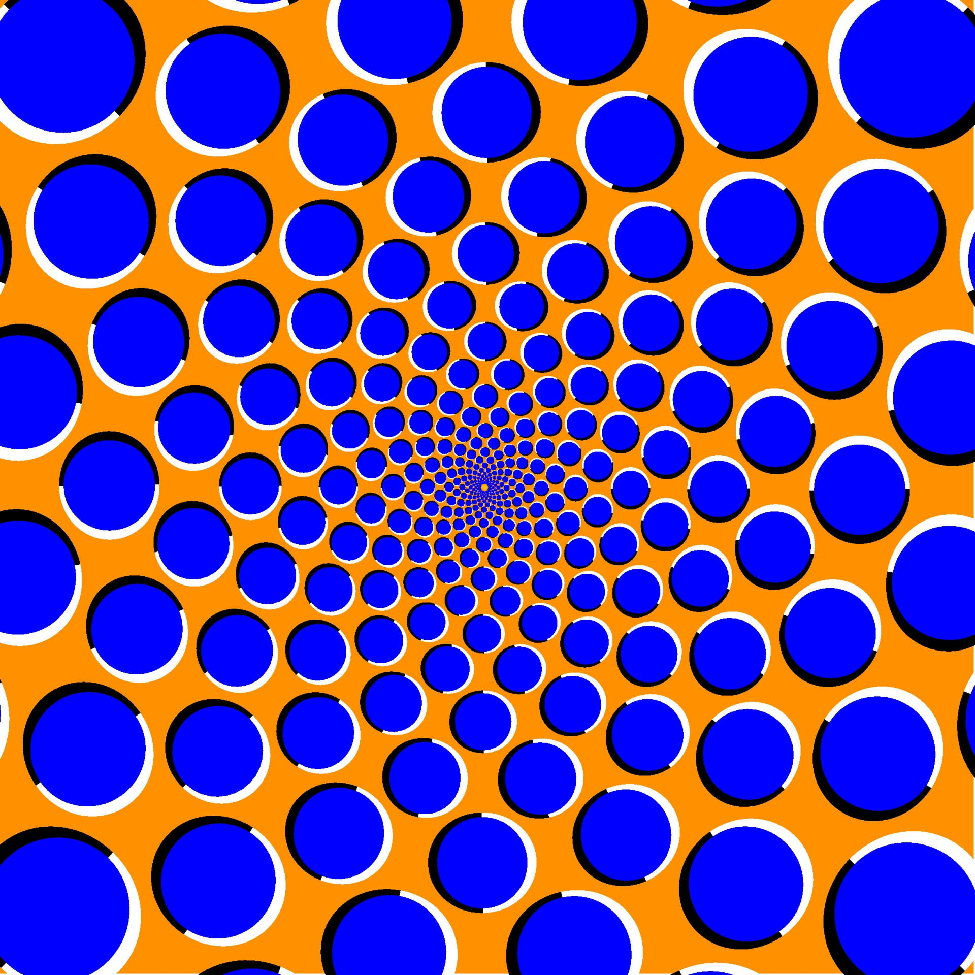 Insane optical illusions that will make you wonder if you're seeing things