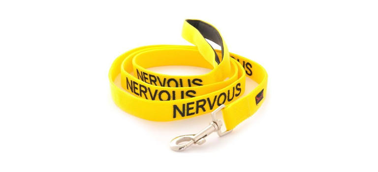 When you see a yellow ribbon on a dog's collar, this is what it means