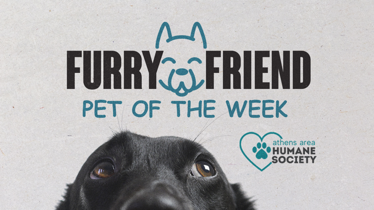Furry Friend Pet of the Week: Meet Cheyenne!