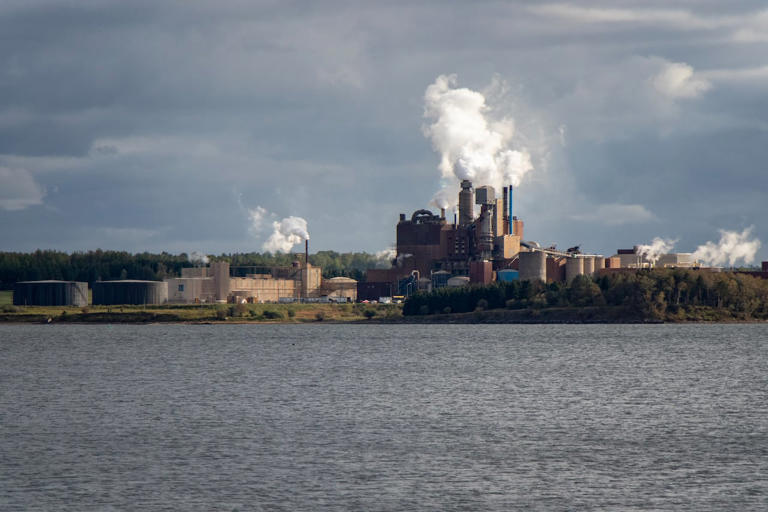 Northern Pulp gets initial $104M bid for timberlands, seeks court approval