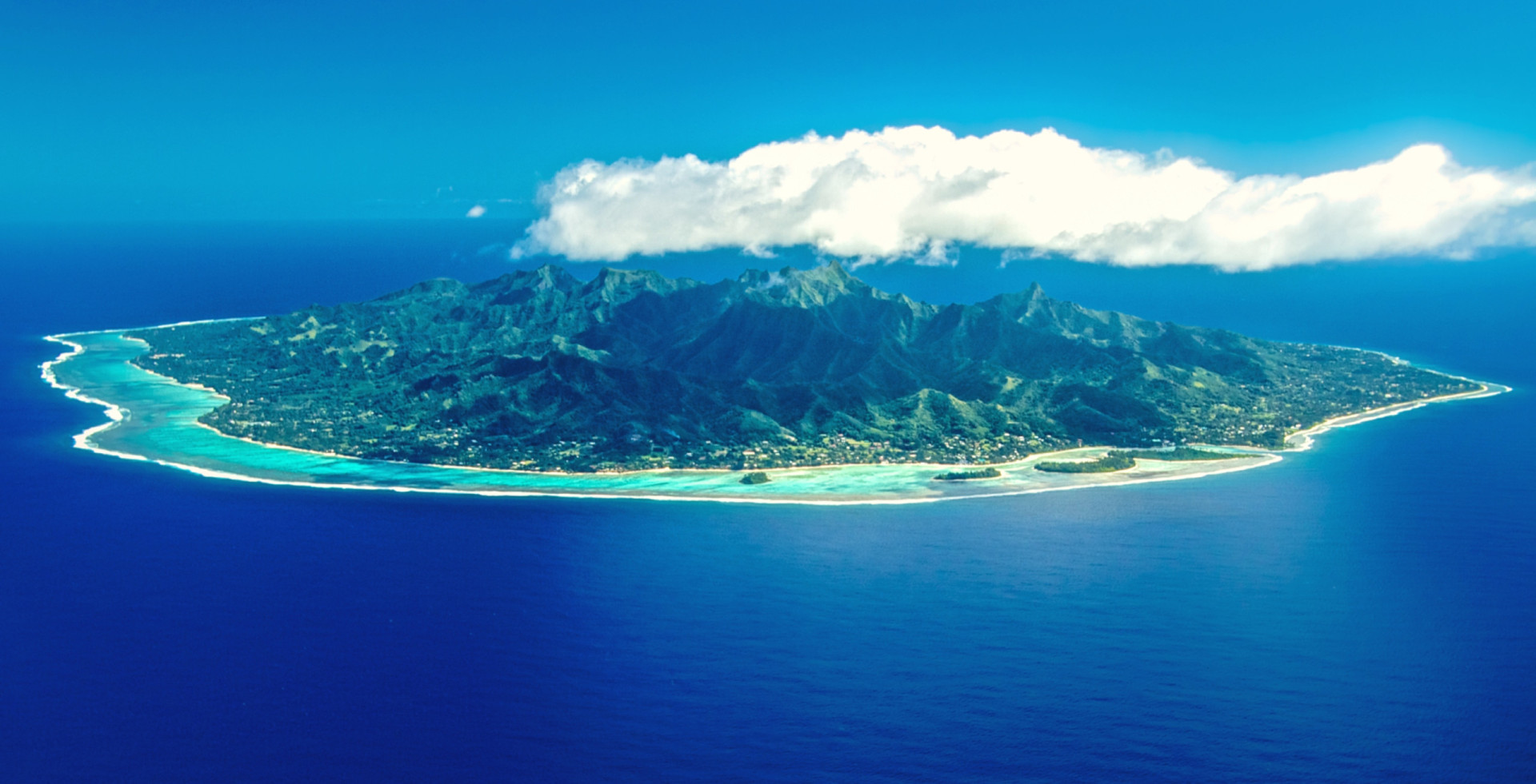 Which nations are more obese than America?