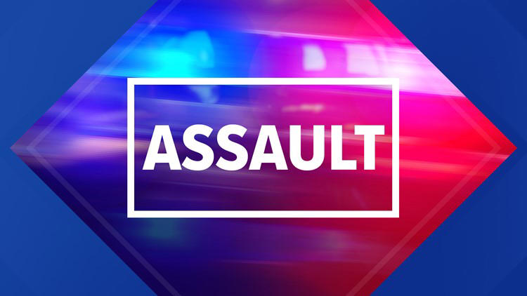 Effort man charged after domestic assault, attacks officers during arrest