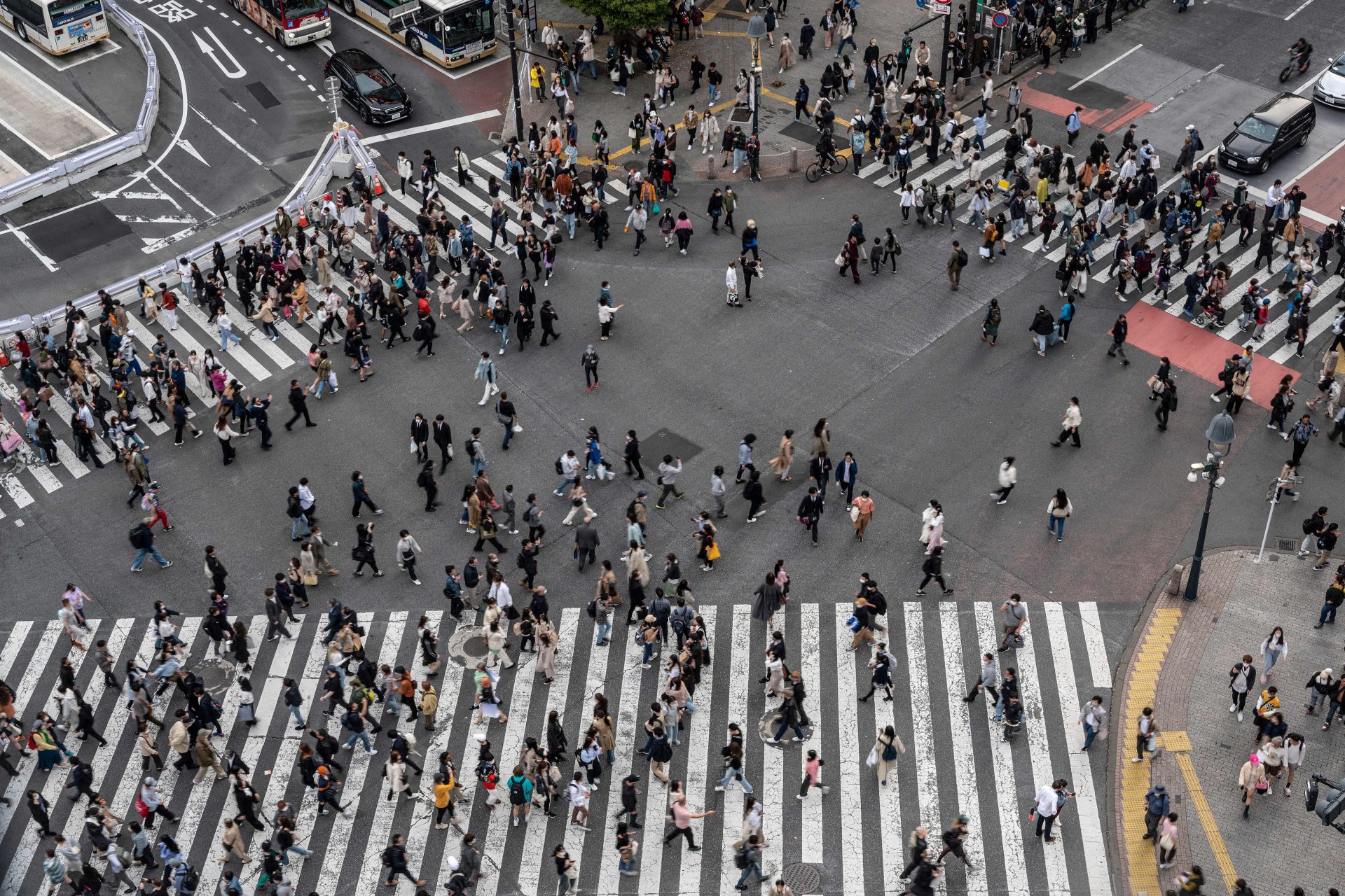 The 10 most populous cities in the world