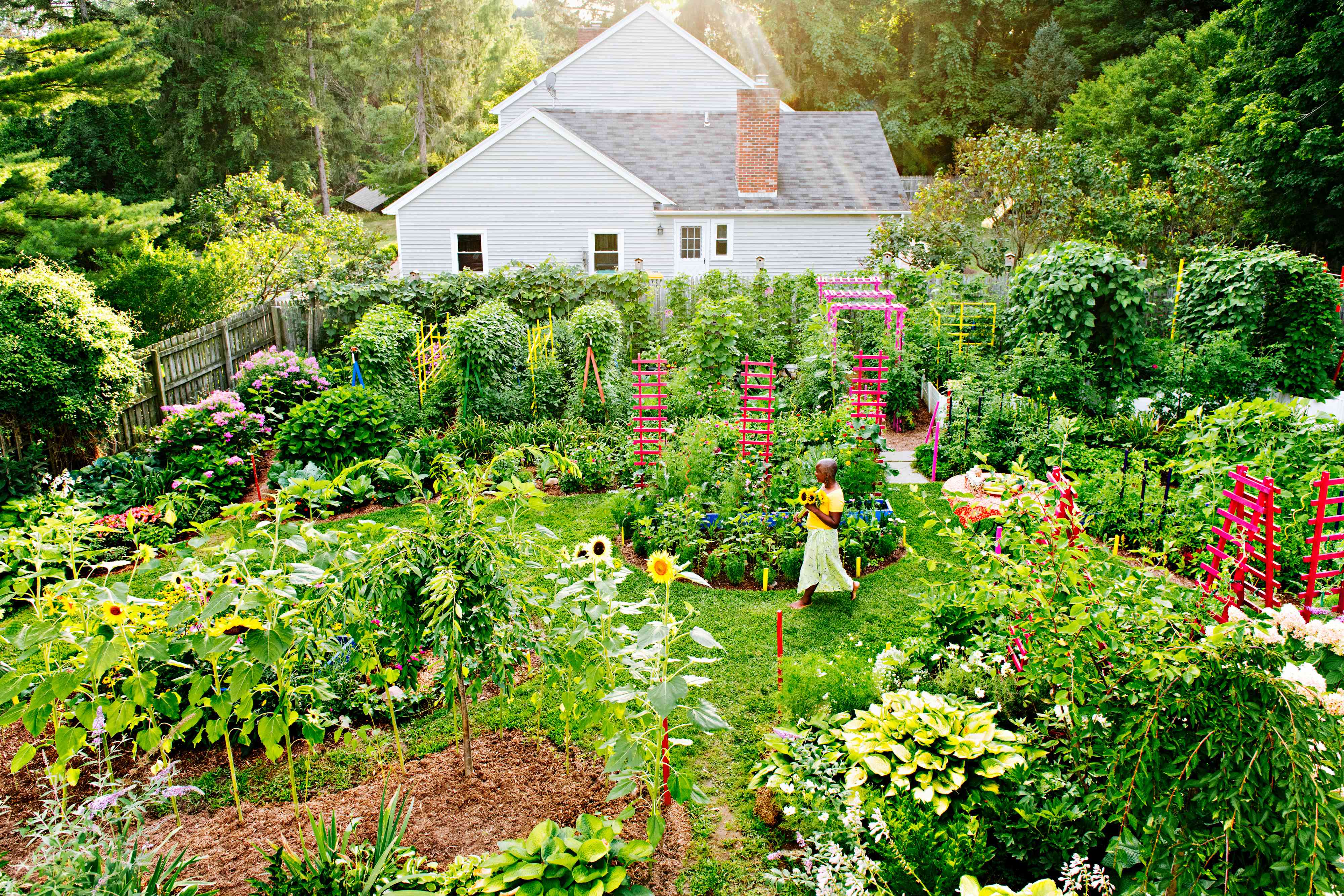 Plant Your Own Permaculture Garden With These 12 Tips