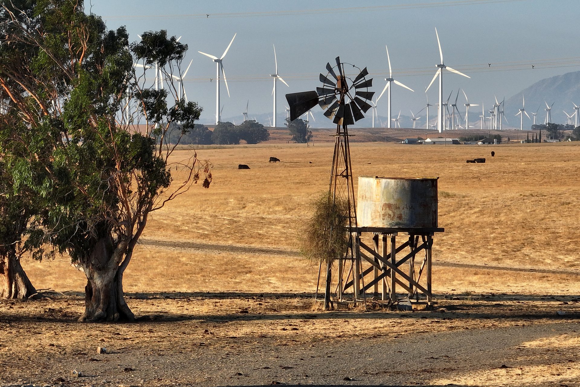 California Forever: a Utopia for the rich?