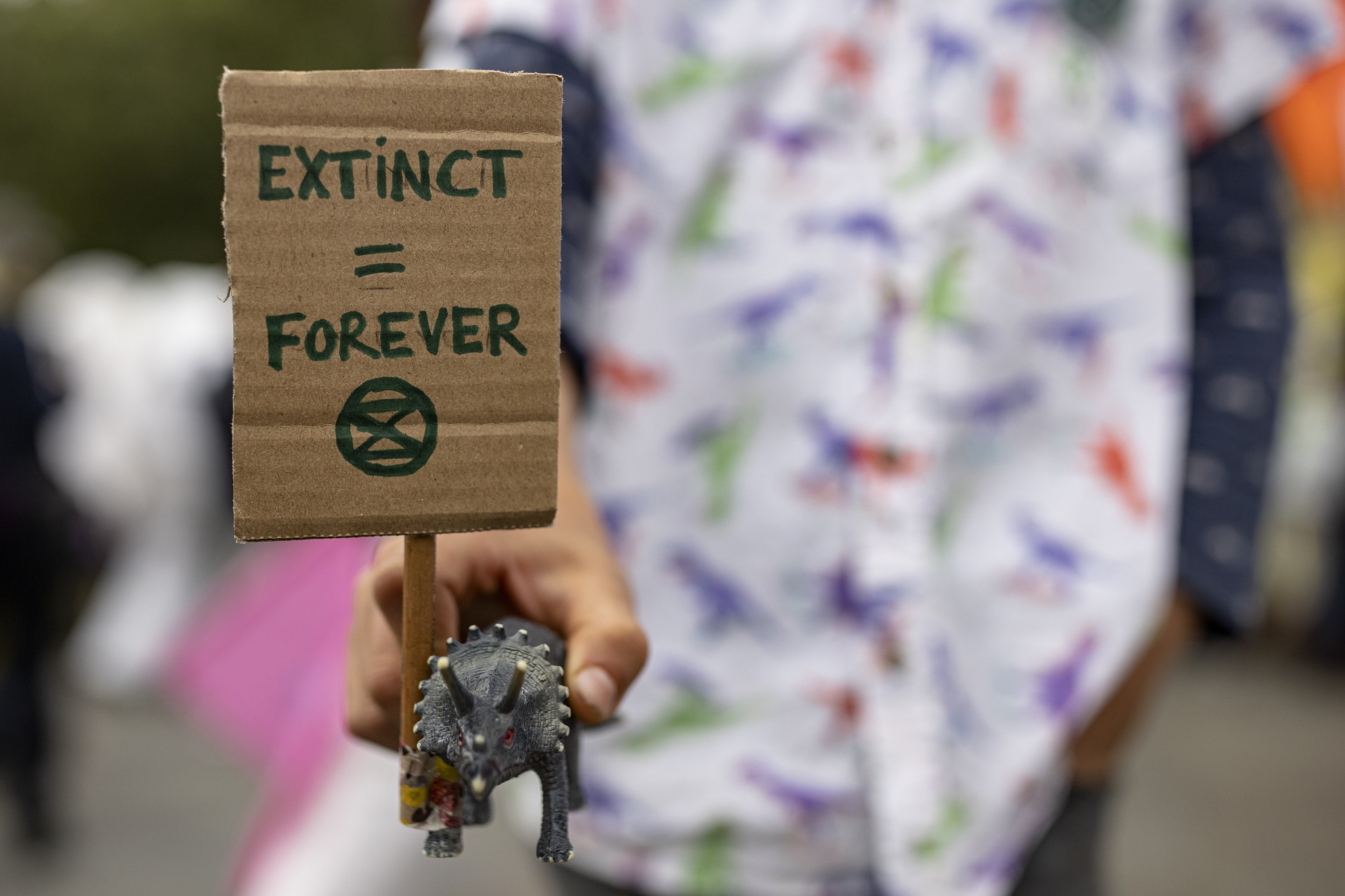 Study suggests we are heading towards a sixth mass extinction