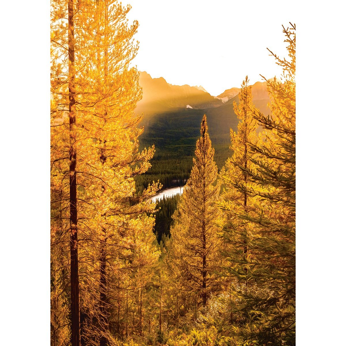 This is What Autumn in Canada Looks Like: 40 Spectacular Fall Photos