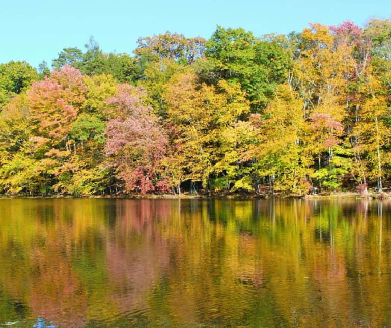 10 Incredible Places to Enjoy Pennsylvania Fall Foliage