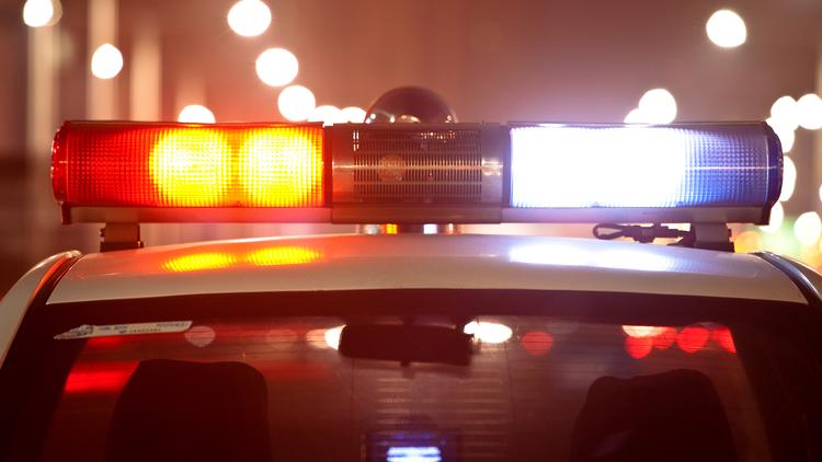 Brunswick man arrested after police say he shot at family, including 2 ...