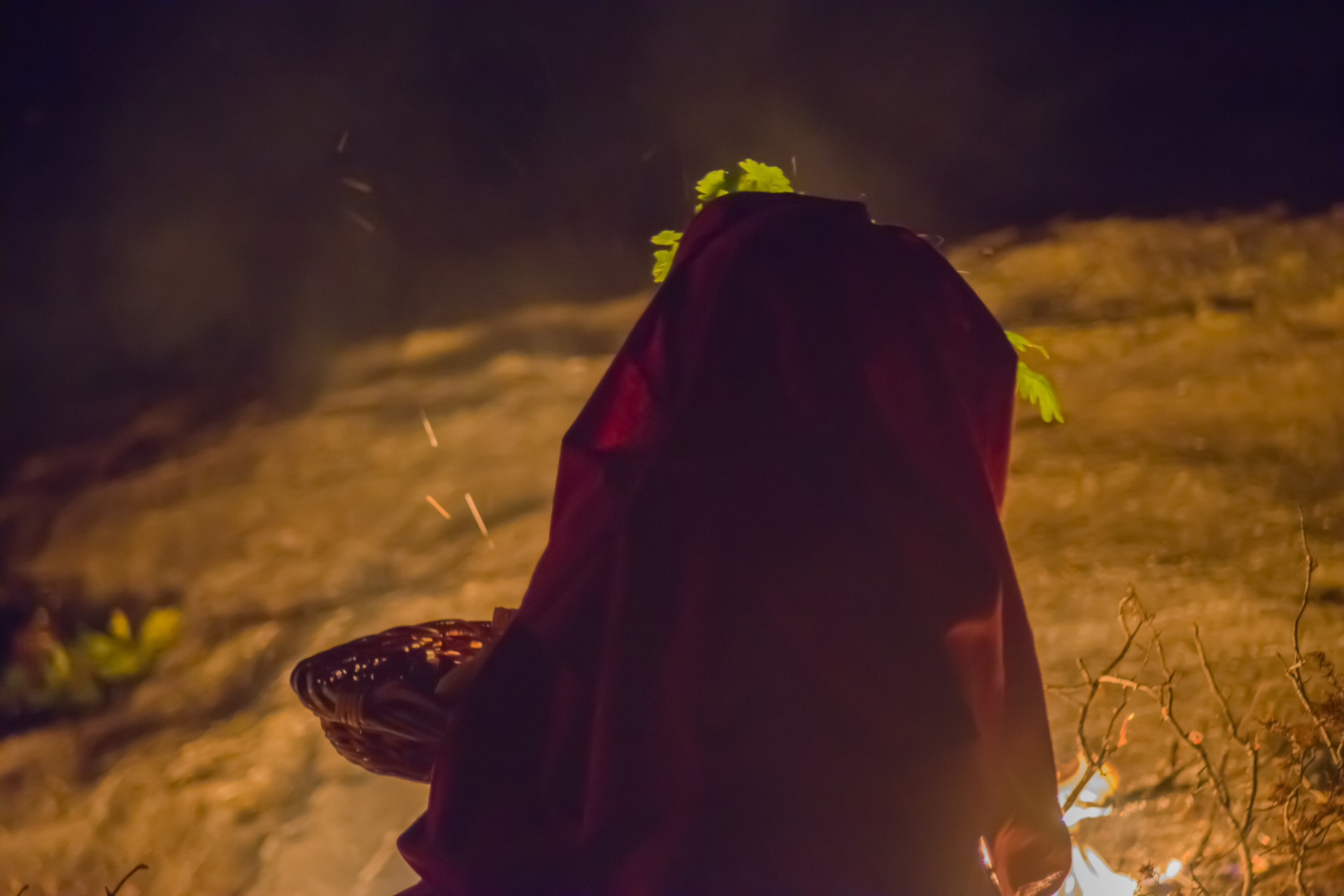 The mysteries of the Oracle of Delphi