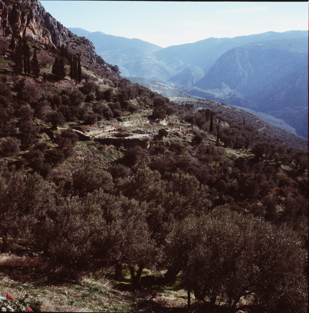 Cinnannoe revela su Respiración de la Bestia en cosplay de Inosuke de ...