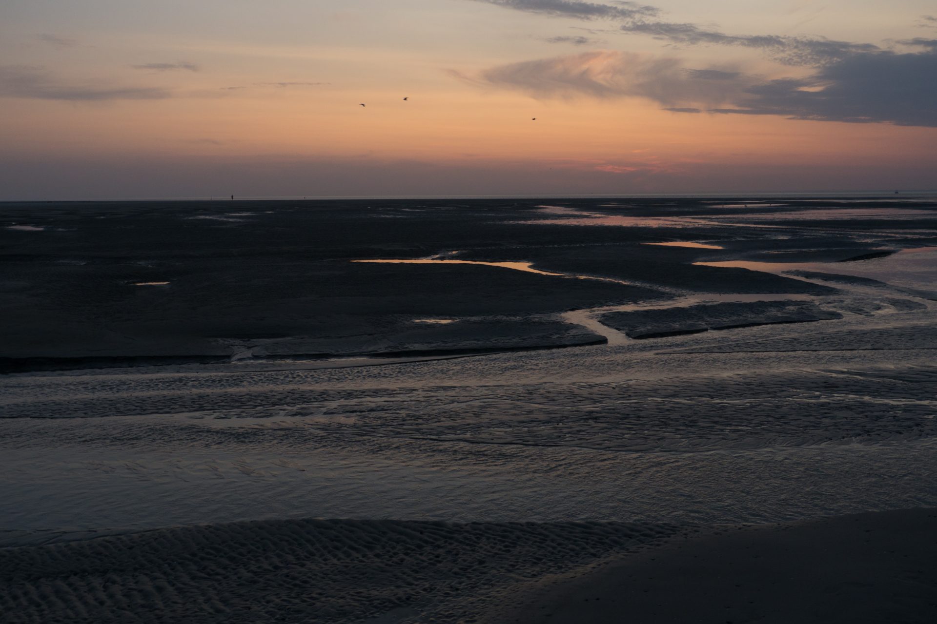 Foto's: De mooiste natuurgebieden van Nederland