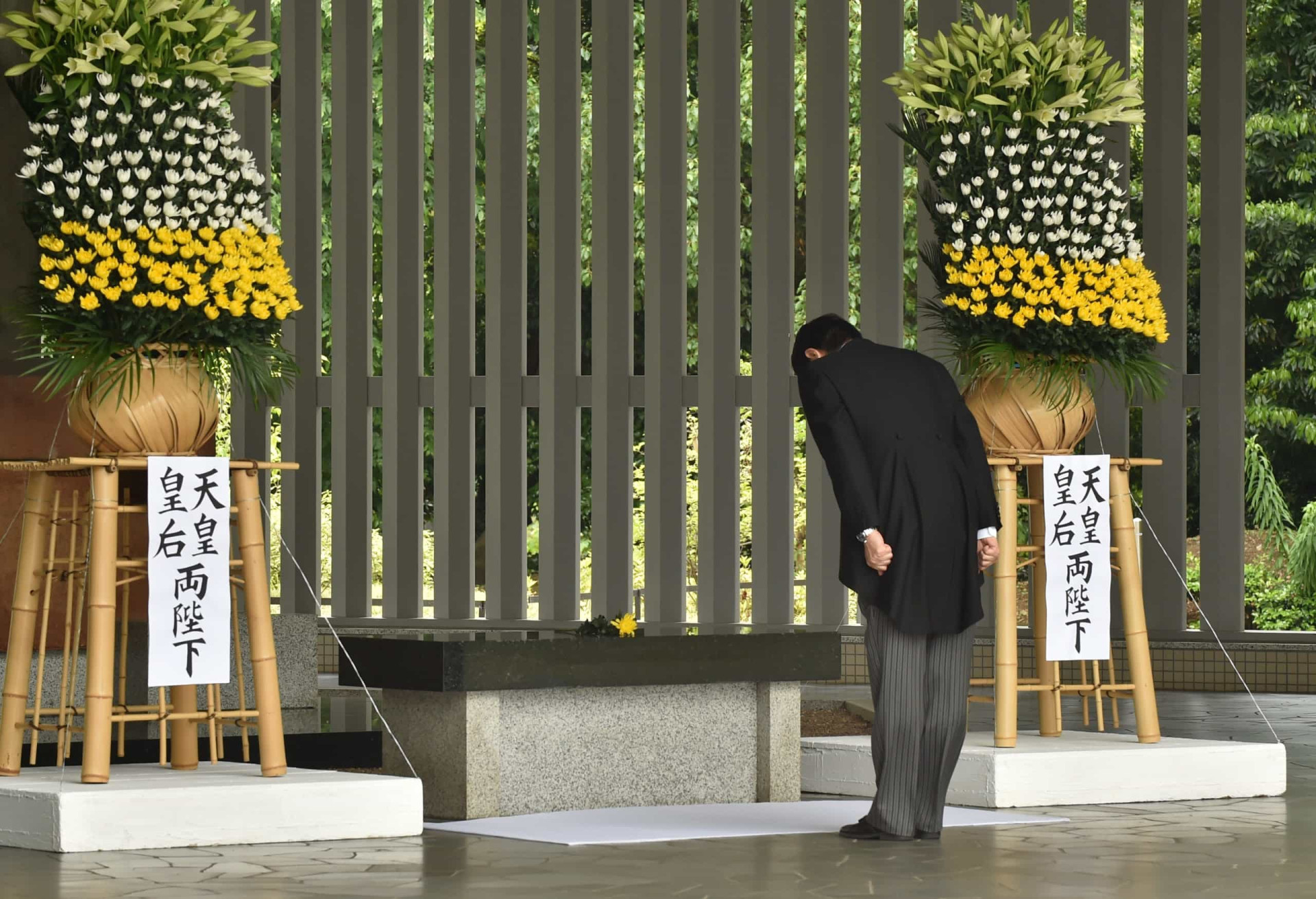 The tradition of the unknown soldier: a solemn tribute