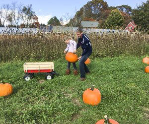 Best Pumpkin Patches Near Boston for Families in 2025