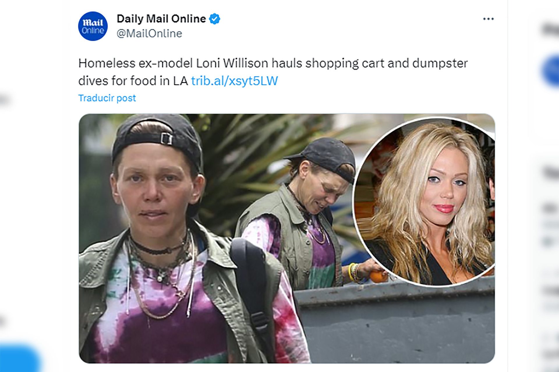 Loni Willison, a top model que passou da fama à indigência