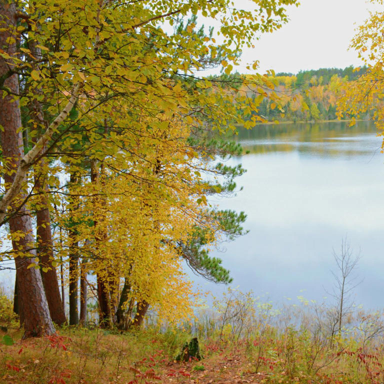 Fall Programs and Events in Minnesota State Parks and Trails + Fall ...