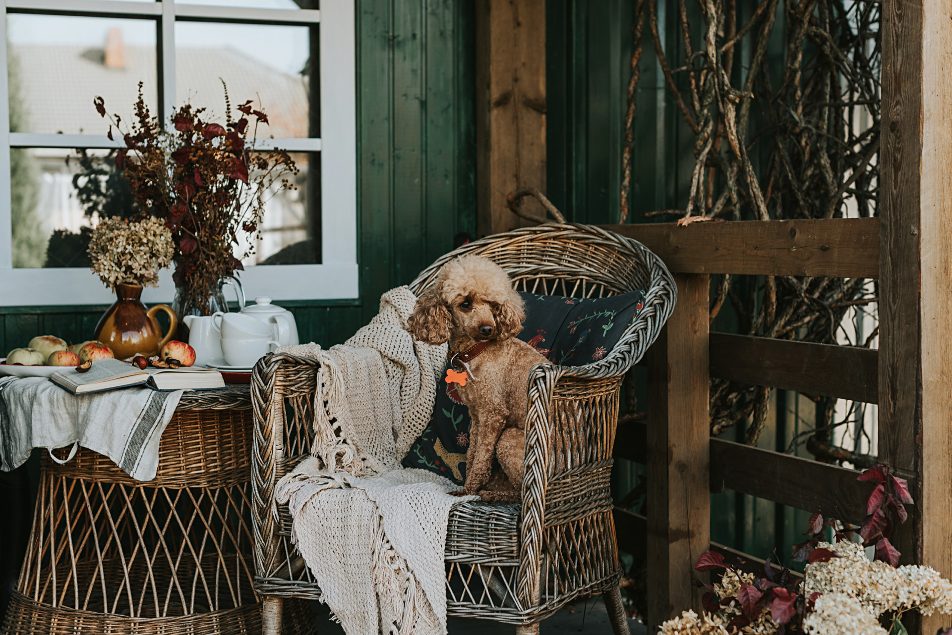 What exactly is cottagecore?