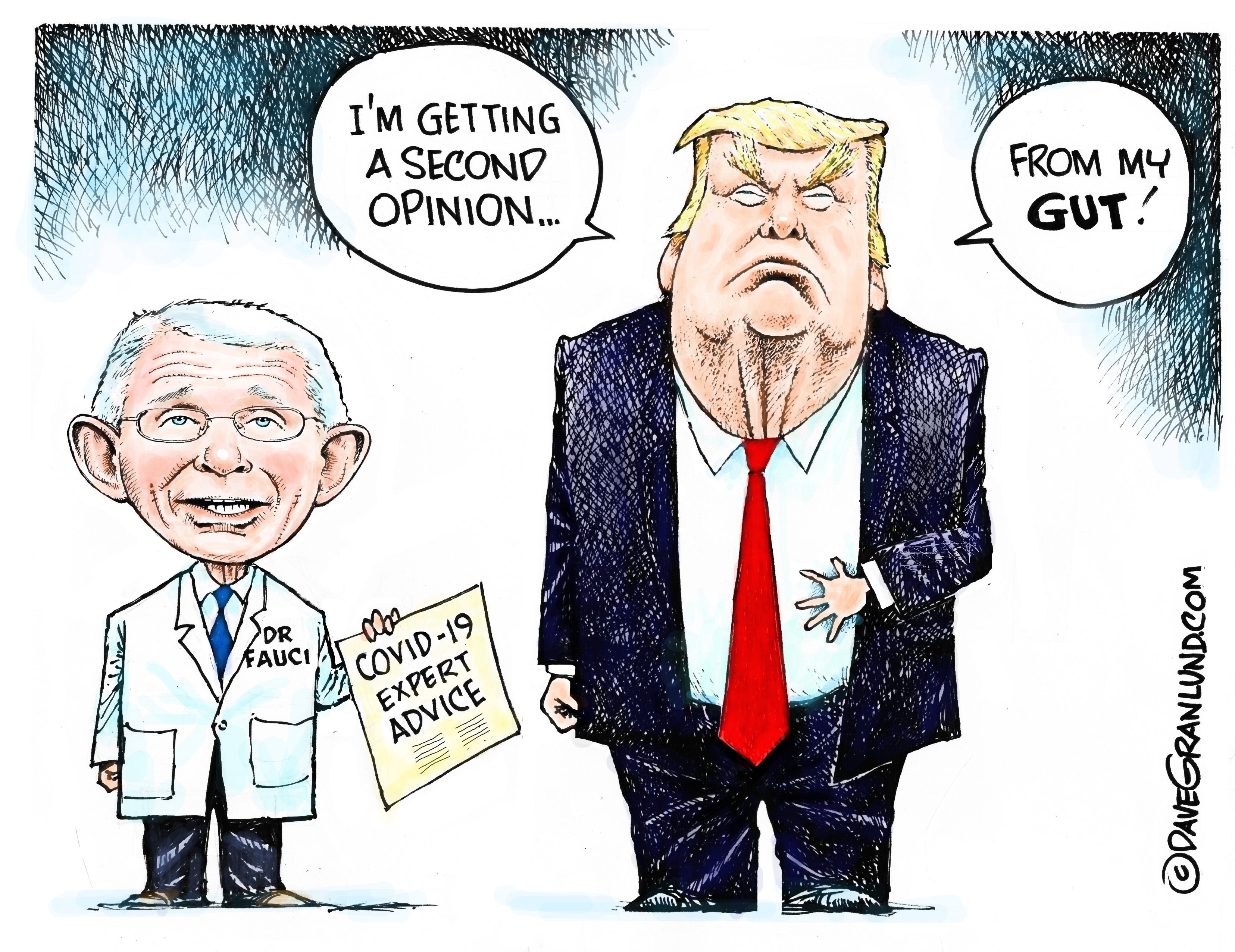 The best of president-elect Donald Trump in political cartoons