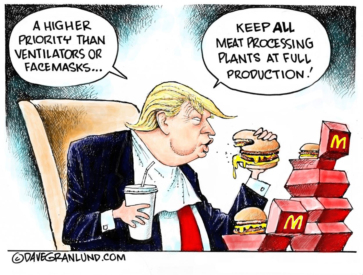 The best of president-elect Donald Trump in political cartoons