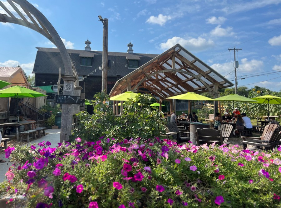 Farming Man Fest returning to Altamont for 11th year