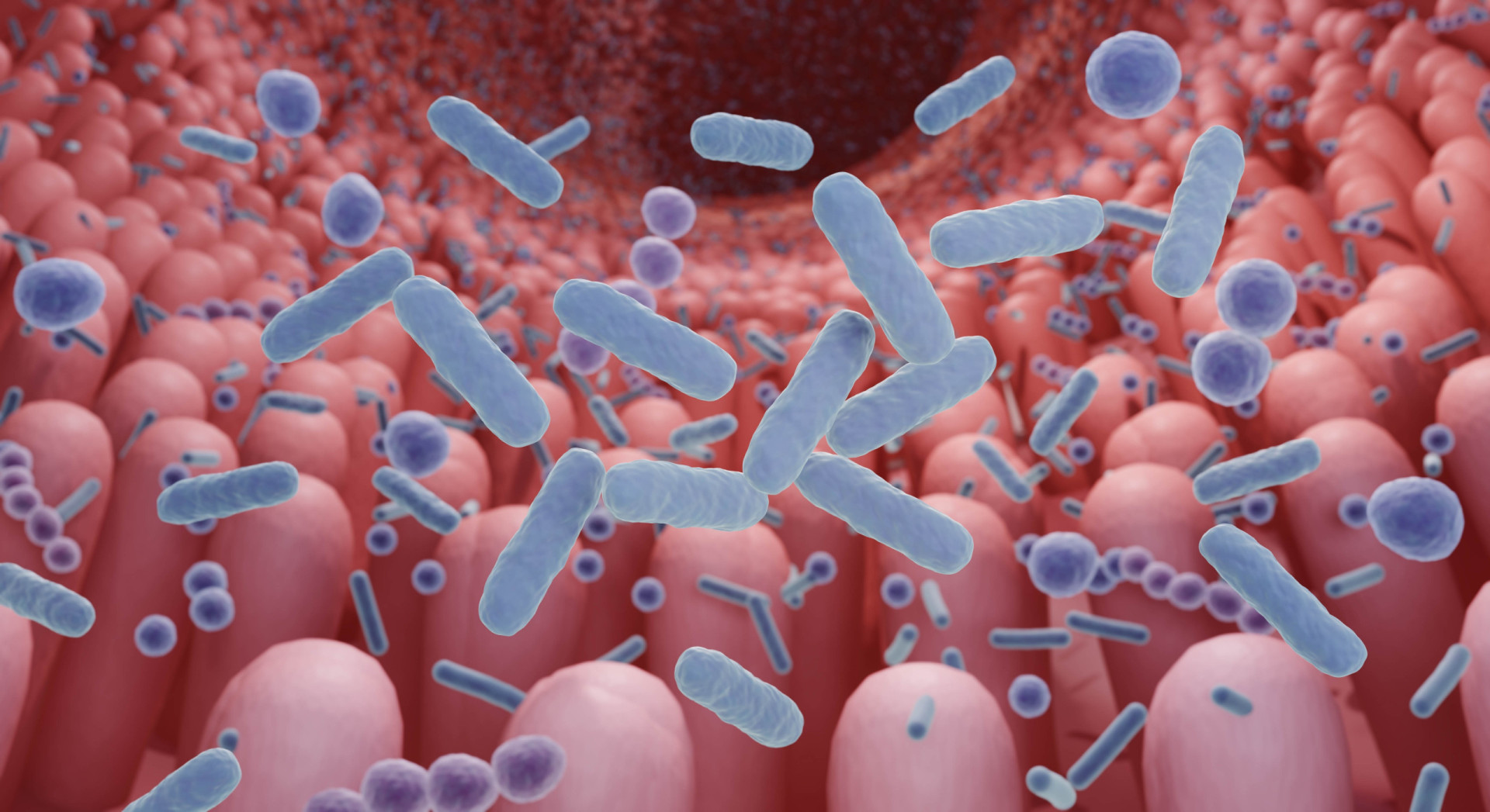 Attention ! Ces choses sont contagieuses