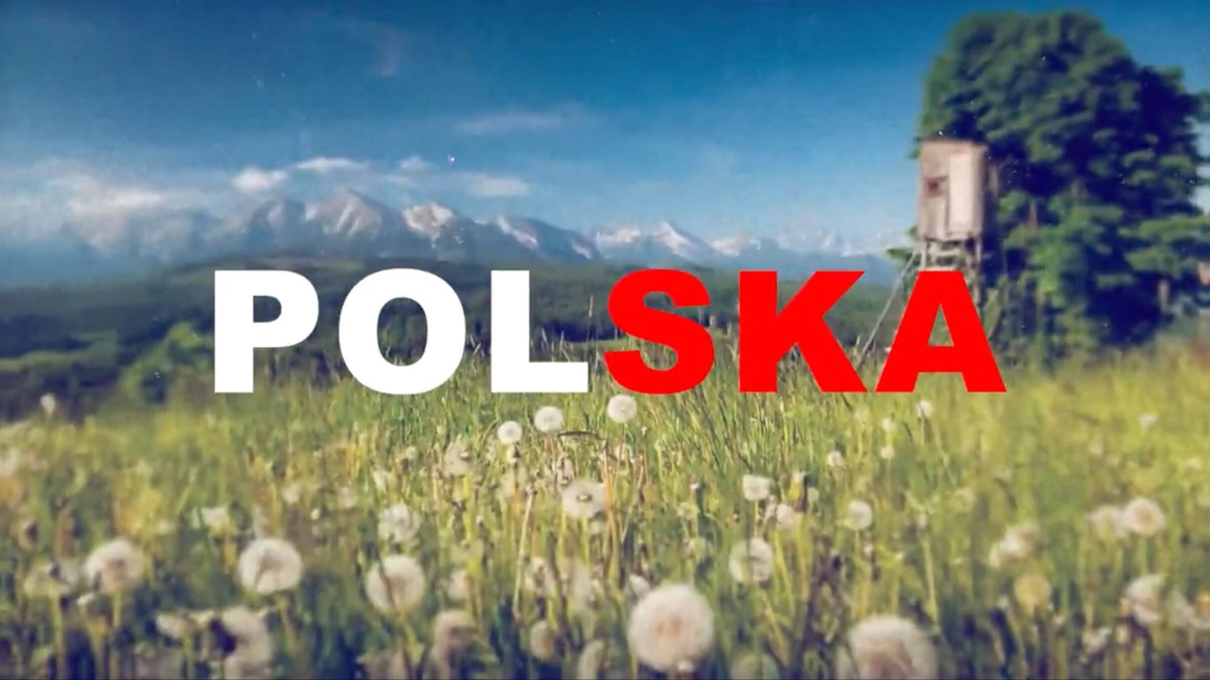 „Polska” odpowiada na pomysły PiS-u. Stoi za tym Koalicja Obywatelska „Polska” odpowiada na pomysły PiS-u. Stoi za tym Koalicja Obywatelska